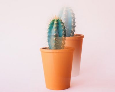 Kineziterapijos Klinika Kaune - Akių mankštos